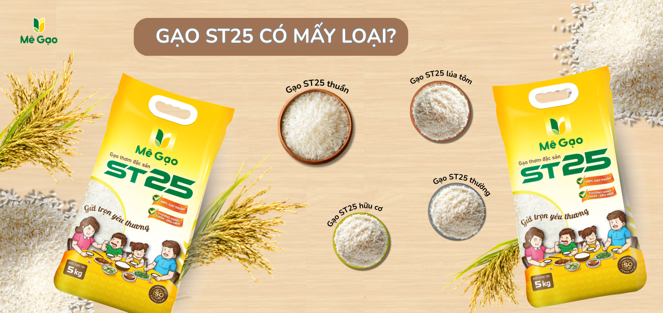 Gạo ST25 Có Mấy Loại? Cách Phân Biệt & Loại Nào Ngon Nhất?